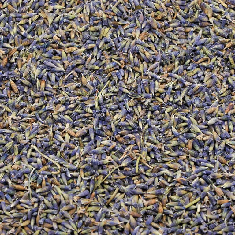 Lavender Potpourri by The Herb Lady